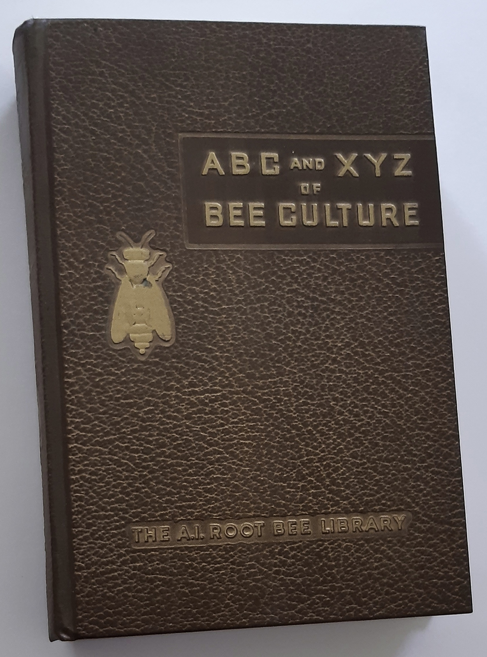 Home [www.diversitybooks.com.au]