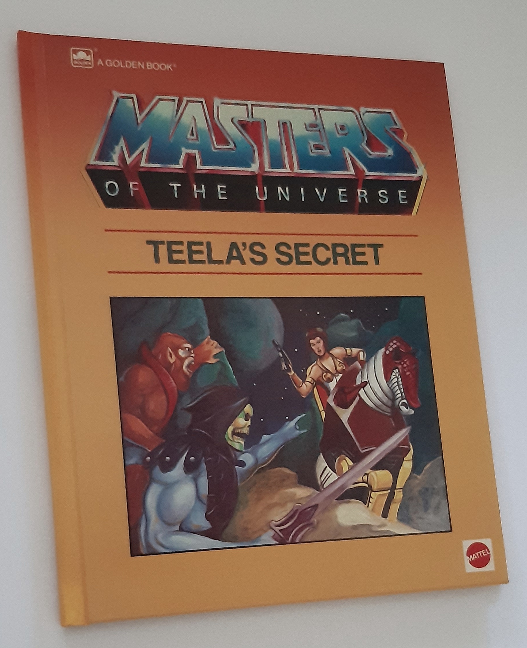 TEELA'S SECRET (Masters of the Universe)